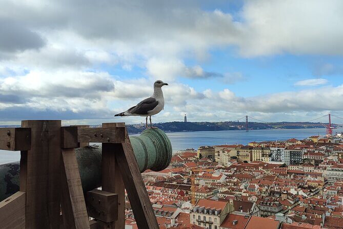 Saint George Castle Guided Tour from Lisbon - An In-Depth Look at the Saint George Castle Guided Tour