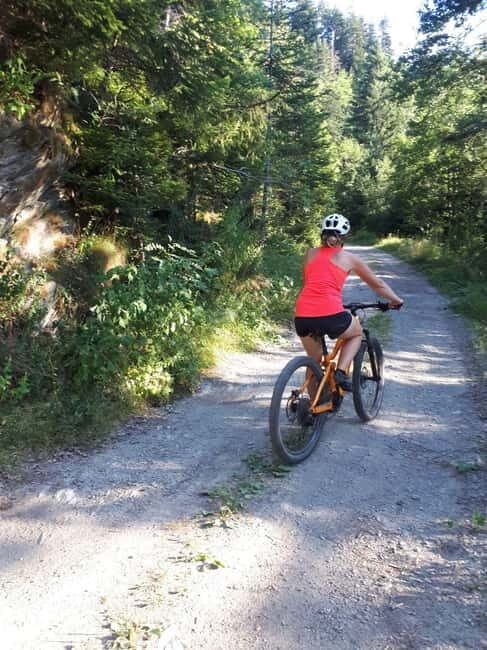 Saint-Georges d'Hurtières: Guided electric mountain bike tour (Enduro) - An In-Depth Look at the Experience