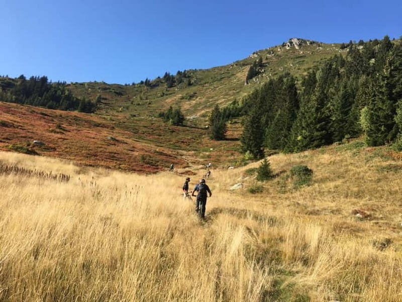 Saint-Georges d'Hurtières: Guided electric mountain bike tour (Enduro) - Why This Tour Is Worth Considering