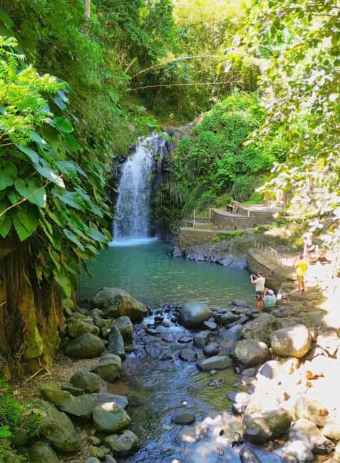 Saint George's: Grenada River Tubing & Waterfall island tour - An In-Depth Look at the Tour Experience