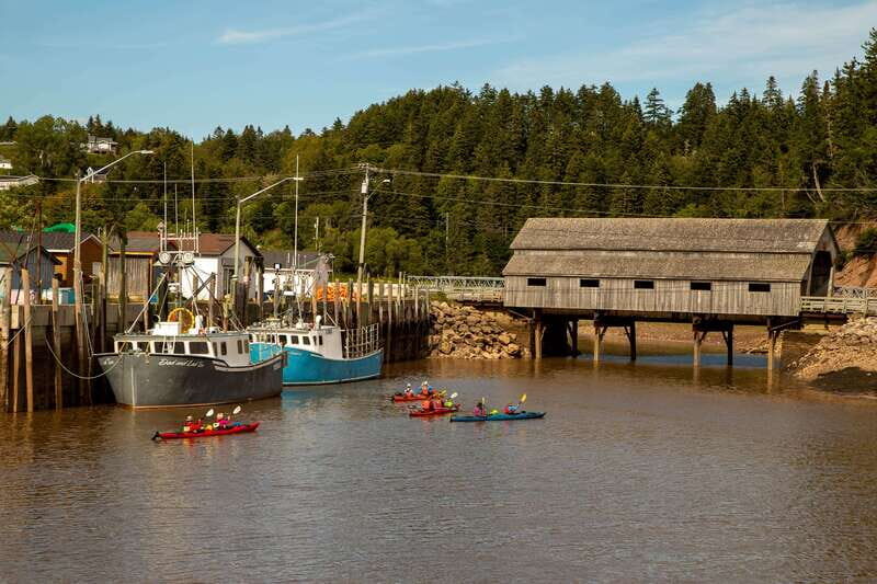 Saint John: Guided Kayaking Tour of St. Martins Sea Caves - Why This Tour Offers Good Value