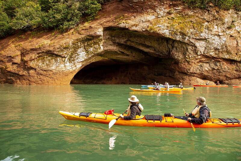 Saint John: Guided Kayaking Tour of St. Martins Sea Caves - Who Will Love This Experience?
