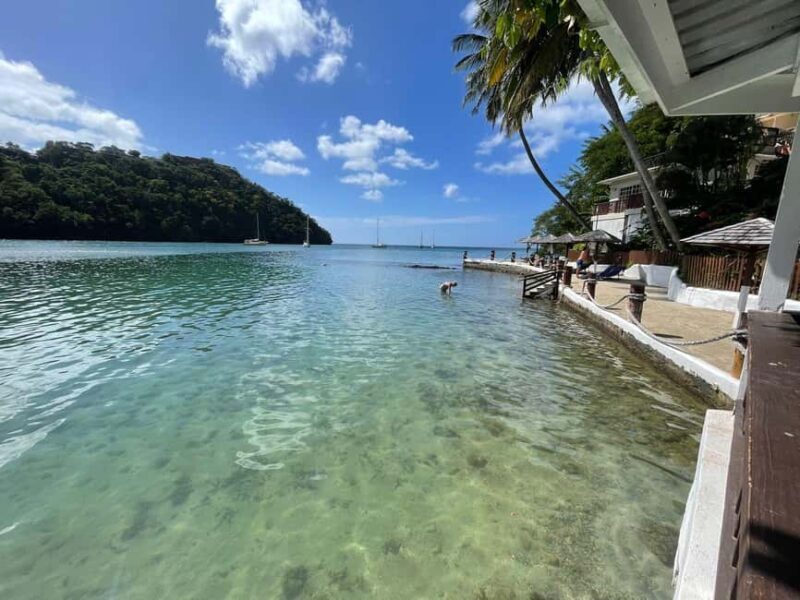 Saint Lucia: 3 hour Sea and Land Tour to Marigot Bay - The Sum Up: Who’s This Tour Perfect For?