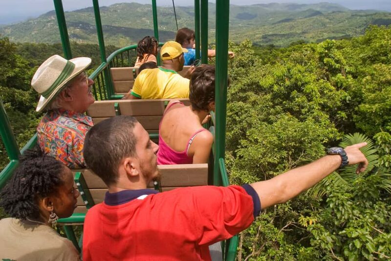 Saint Lucia: Aerial Tram Tour at Rainforest Adventures - Key Points