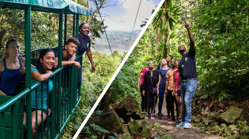 Saint Lucia: Aerial Tram Tour at Rainforest Adventures - Who Should Consider This Tour?