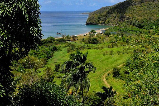 Saint Lucia Agrotourism Tour Farm Experience and Rum Tasting - The Sum Up