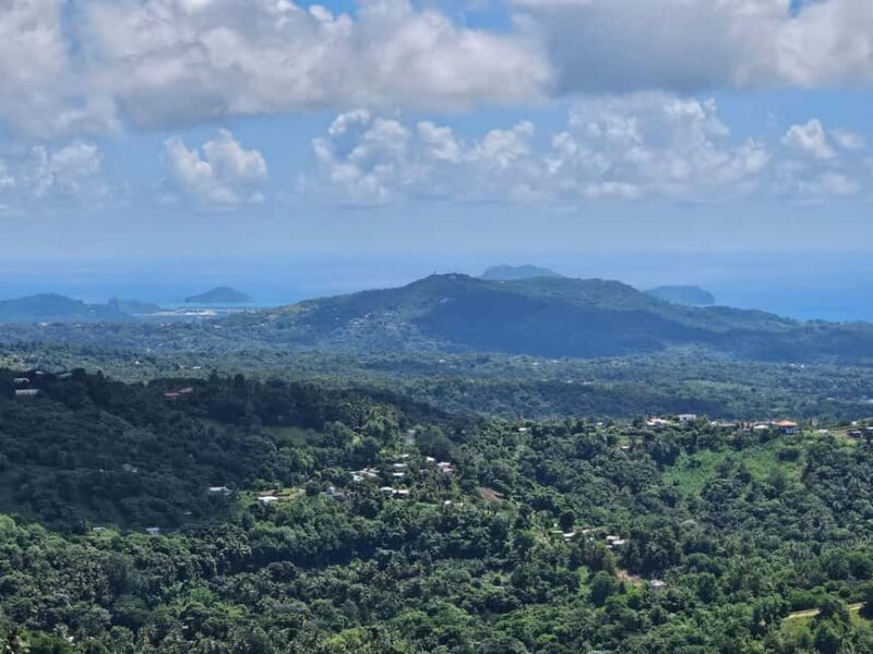 Saint Lucia: Piton Hike - Who Will Love This Experience?