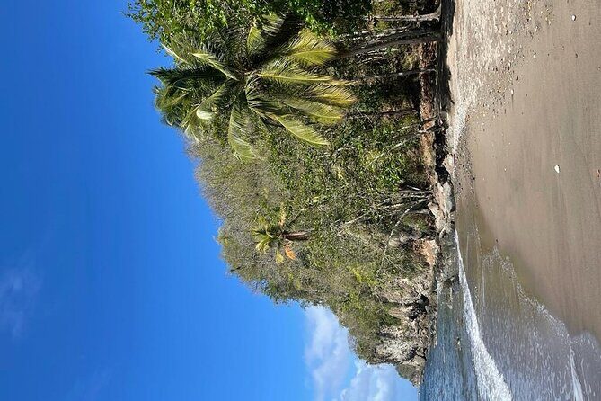 Saint Lucia Private East Coast Tour - The Sum Up