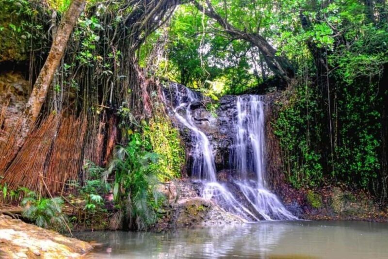 Saint Lucia: Thrill Seeker 6-Day Adventure Tour - The Sum Up