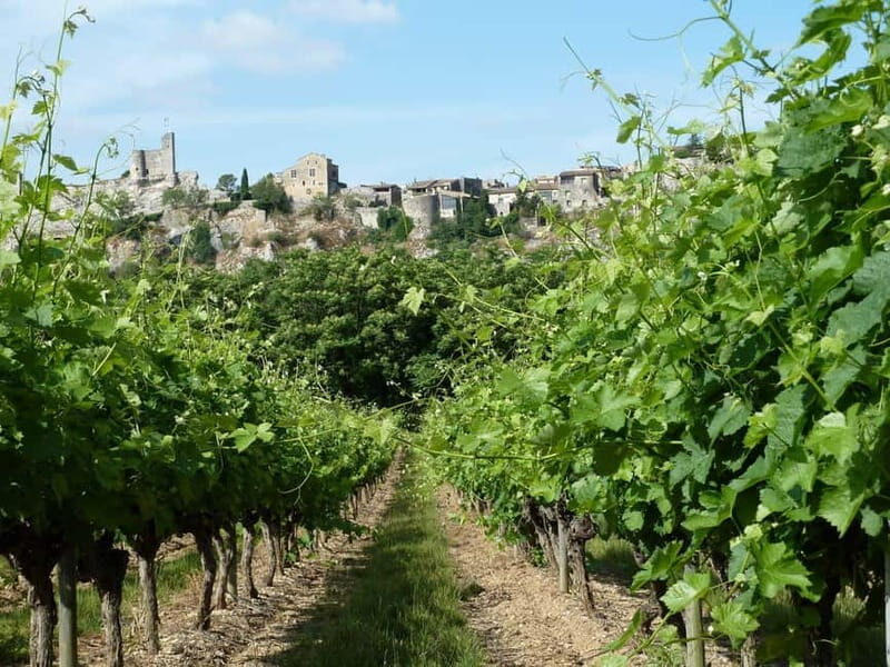 Saint-Martin-d'Ardèche: Electric Bike Wine Tour & Tasting - Who Will Love This Tour?