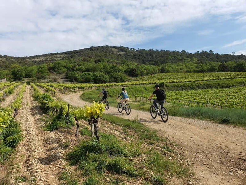 Saint Montan: Electric Bike Wine Tour & Tasting - What Makes This Tour Stand Out?