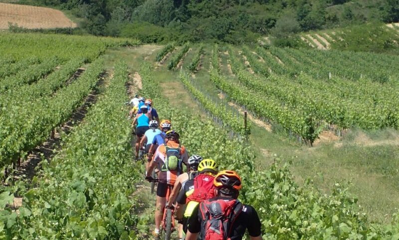 Saint Montan: Electric Bike Wine Tour & Tasting - Final Thoughts