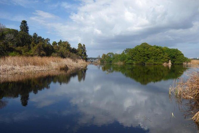 Saint Petersburg Preserve Bike Tour - Who Should Consider This Tour?