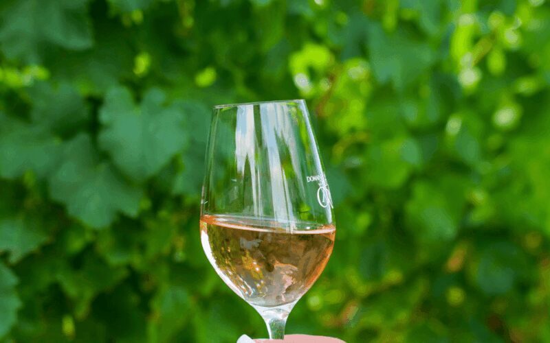 Saint-Tropez: Small Group Wine Tour - The Perfect Introduction to Provençal Rosé