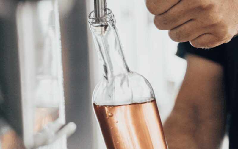 Saint-Tropez: Small Group Wine Tour - Who Should Consider This Tour?