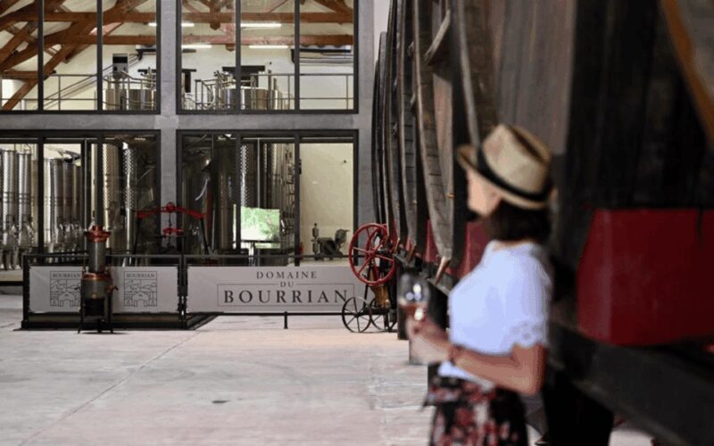 Saint-Tropez: Small Group Wine Tour - FAQ