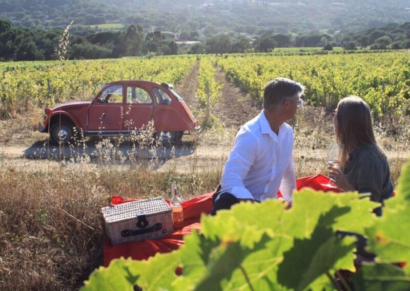 Saint-Tropez: Vintage Car Wine Tour - The Experience in Detail