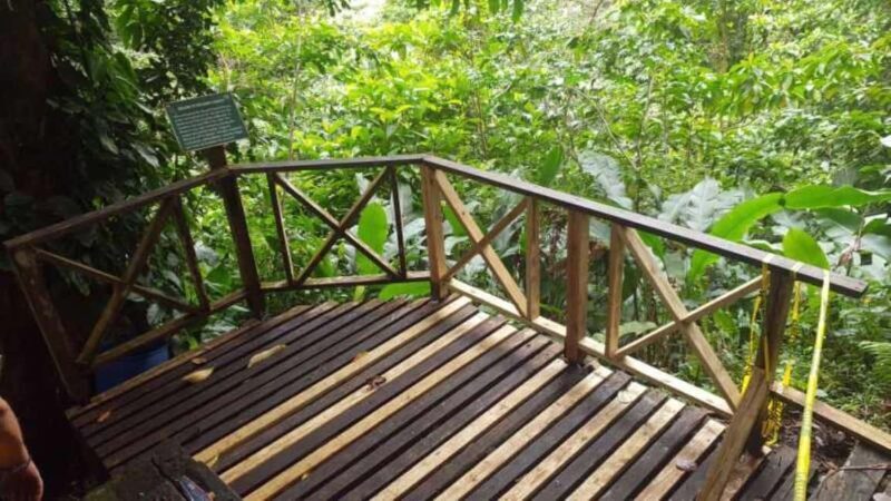 Saint Vincent: Caribbean Odyssey Tour - In-Depth Review of the Caribbean Odyssey Tour