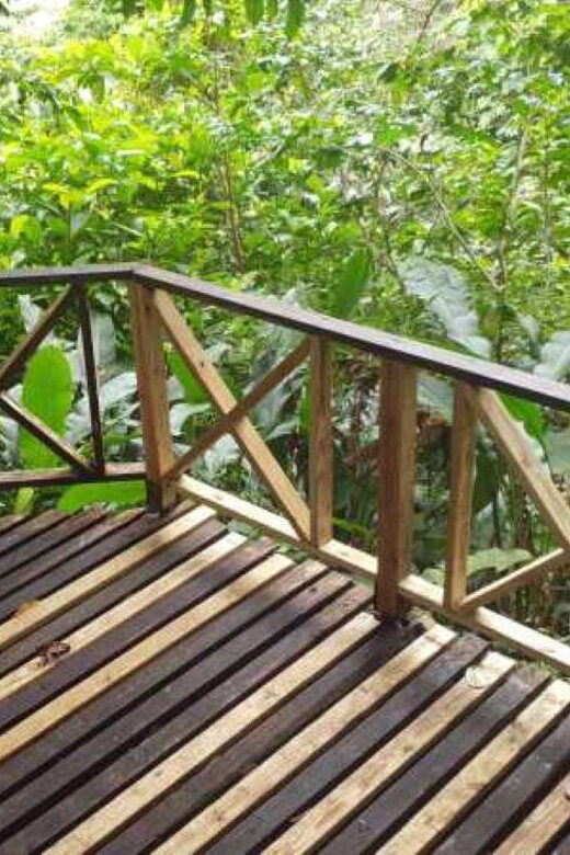 Saint Vincent: Caribbean Odyssey Tour - FAQ