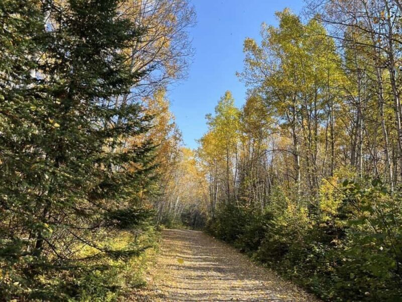 Sainte-Rose-du-Nord: Polaris Ranger Off-Road Adventure - Why This Tour Stands Out