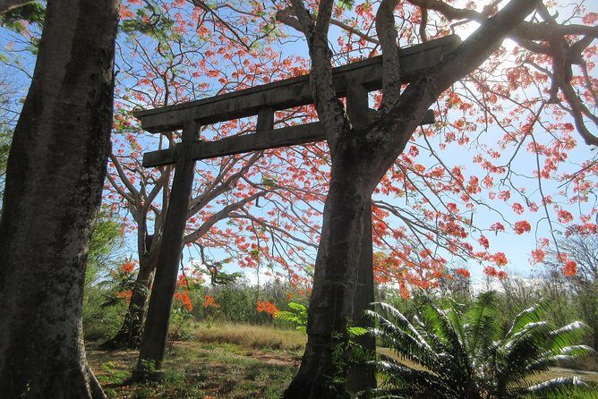Saipan & Tinian 2-DAY Tour (Day1: SPN; Day2: TIN) - The Itinerary: What to Expect