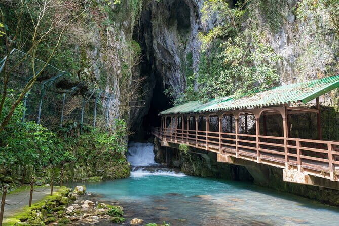 Sake Brewery Tour, Sake Cuisine and Pairing Experience - Final Thoughts