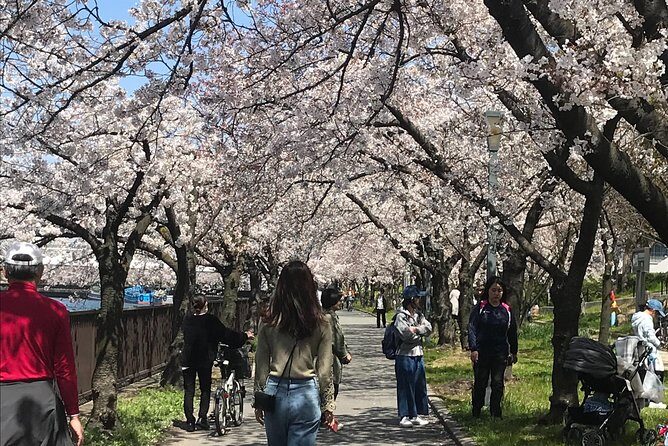 Sakura Picnic "Hanami" in Osaka - Spring Only - Frequently Asked Questions
