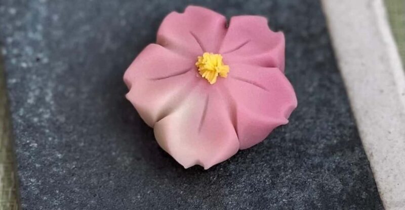 Sakura Sweets Making & Tea Ceremony in Ikegami Plum Garden - Key Points