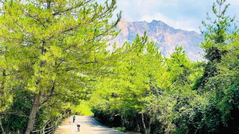 Sakurajima Century Lava Climb Journey with E-bike - The Itinerary: A Closer Look