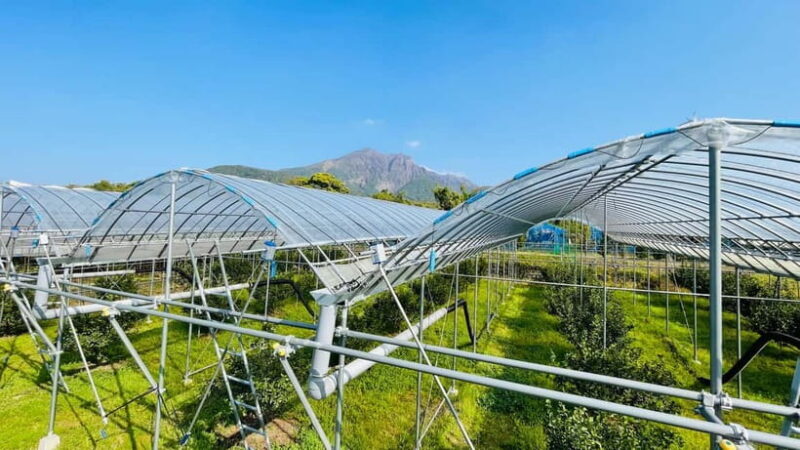 Sakurajima Century Lava Climb Journey with E-bike - Practical Tips for Future Riders