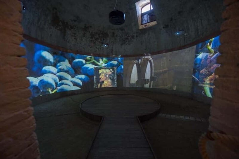 Sala Baganza: Wine Museum Ticket - Uncover Italy’s Wine Secrets at the Sala Baganza Wine Museum