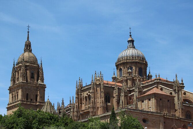Salamanca Like a Local: Customized Private Tour - The Heart of the Experience: Authenticity and Connection