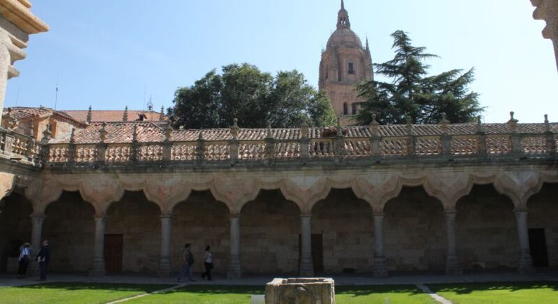 Salamanca: Monuments and Landmarks Guided Walking Tour - Why This Tour Stands Out