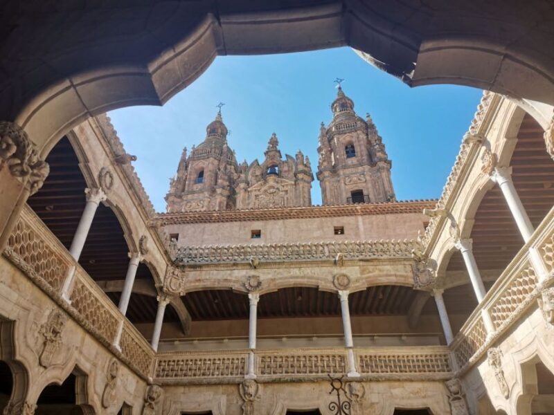 Salamanca: Monuments and Landmarks Guided Walking Tour - What Sets This Tour Apart
