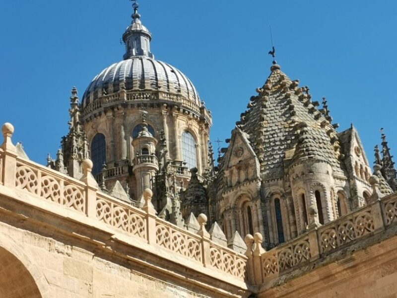 Salamanca: Monuments and Landmarks Guided Walking Tour - FAQs
