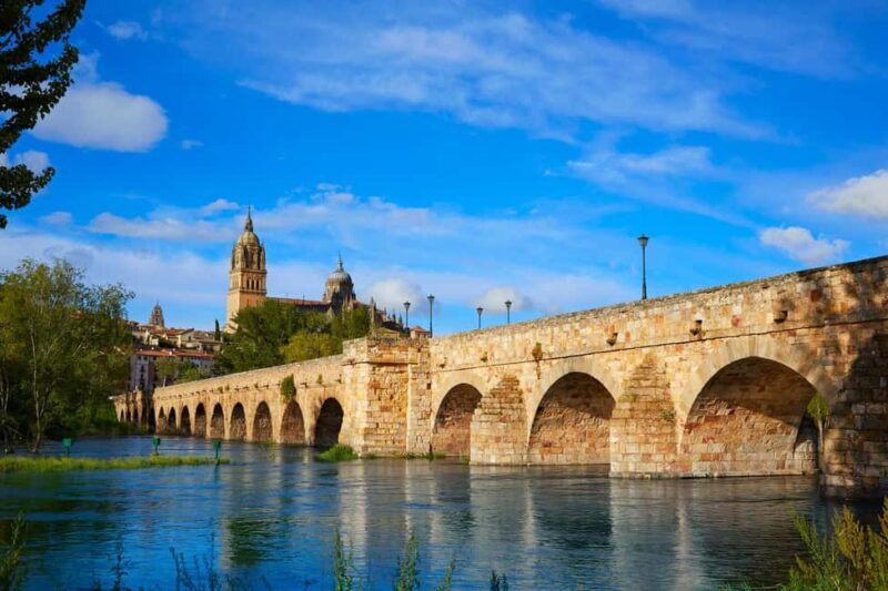 Salamanca: Private 2-Hour Intro City Walk with Local Guide - Introduction