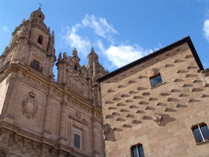 Salamanca: Private Guided Customizable Walking Tour - Who would enjoy this experience?
