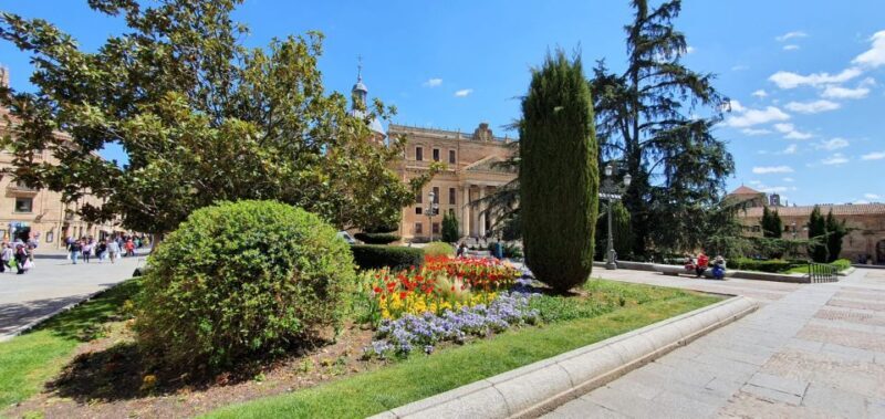 Salamanca: Private Literary History Walking Tour - Who Should Consider This Tour?