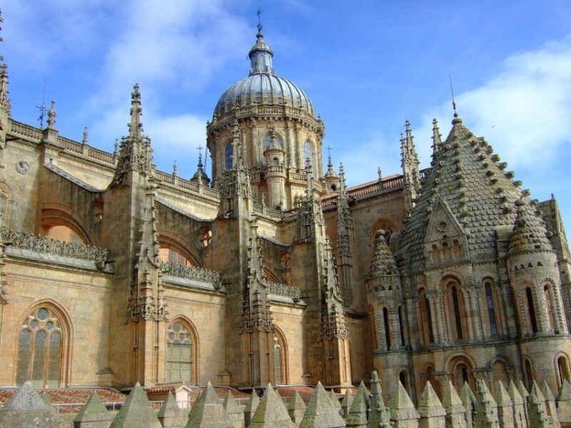 Salamanca: Private Tour with a Local - An in-depth look at Salamancas private guided experience