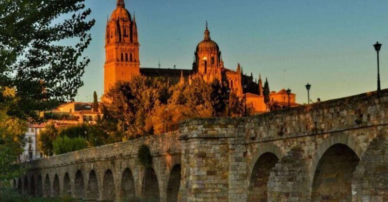 Salamanca: Private Walking Tour with a Local Guide - Key Points