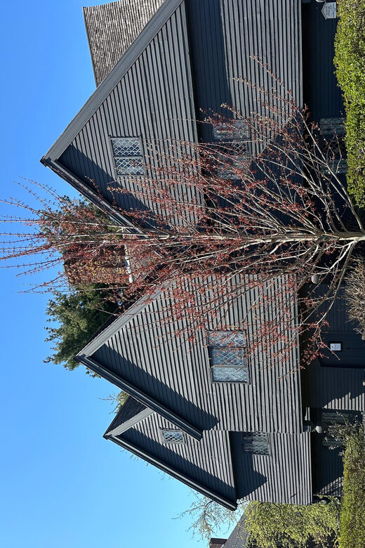 Salem, MA: Merchants & Mansions: an architecture tour - Final Thoughts: Is It Worth It?