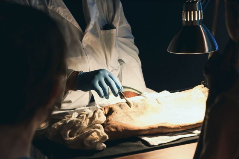 Salem: Pirate Museum with Authentic Treasures Entry Ticket - Who Should Visit?