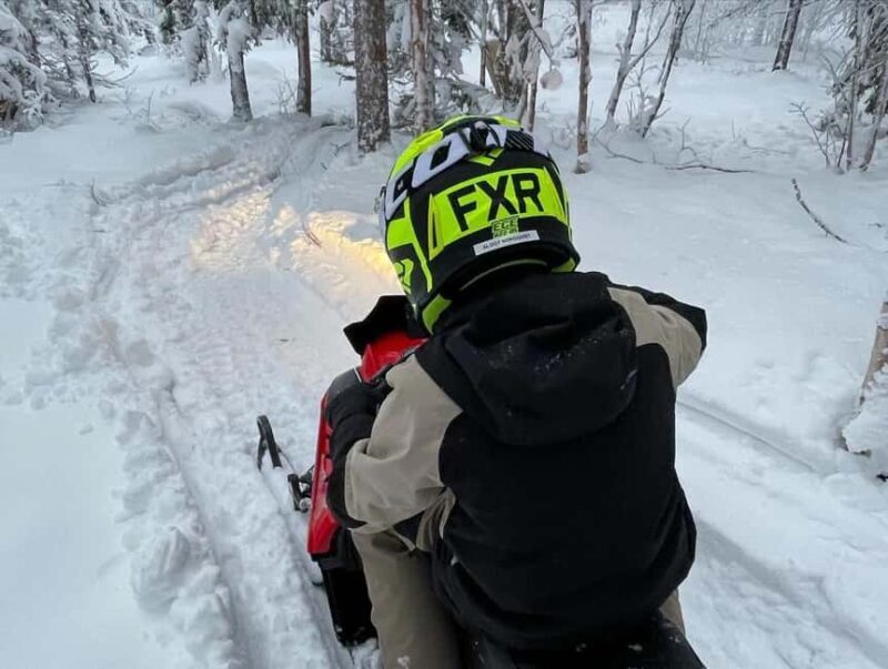 Sälen: Mini Snowmobile Adventure on Private Track - Key Points