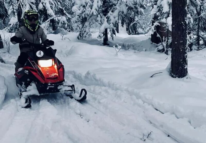 Sälen: Mini Snowmobile Adventure on Private Track - Summary