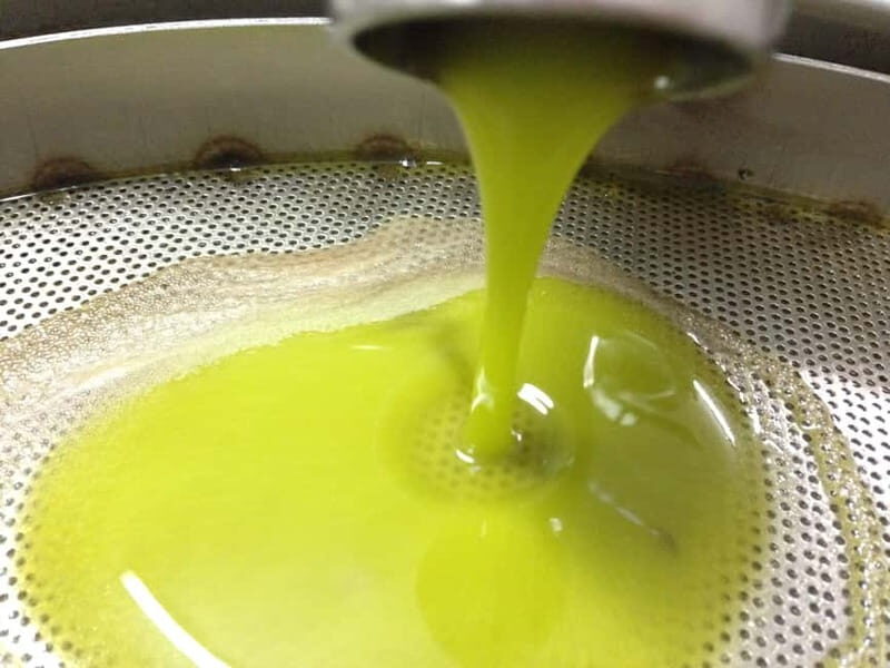 Salento: Olive Oil Mill Walking Tour with Tastings - Who Would Enjoy This Tour?