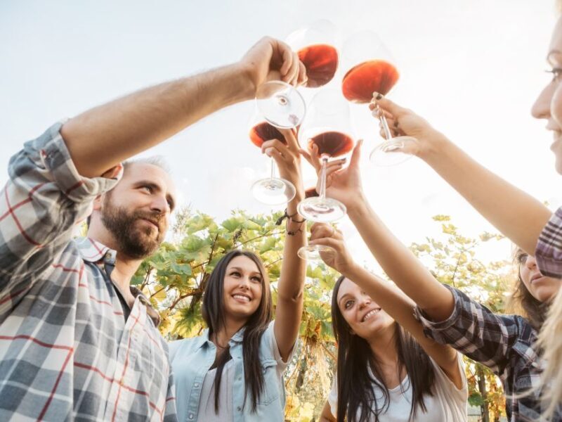 Salento: Winery Tour and Tasting - Why This Tour Offers Real Value