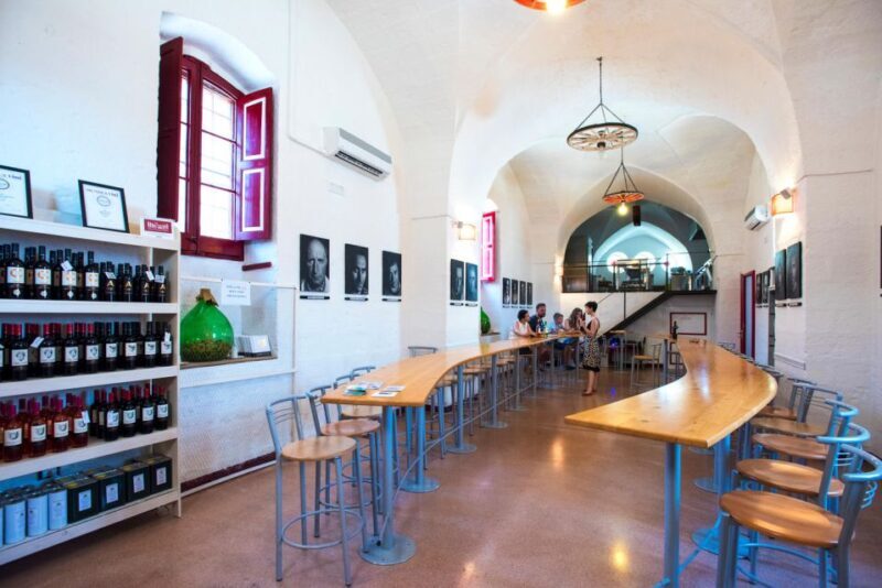 Salento: Winery Tour and Tasting - Who Will Enjoy This Tour?