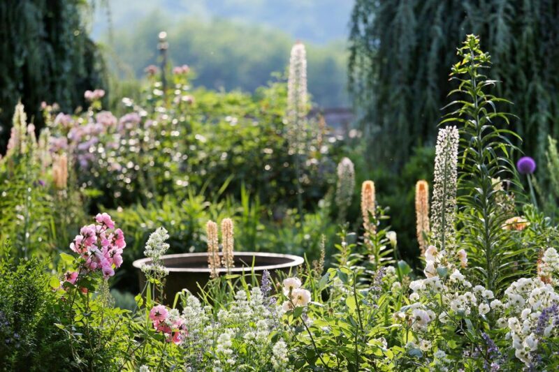 Salignac-Eyvigues: Gardens of Eyrignac Manor Entry Ticket - Authentic Insights from Visitors