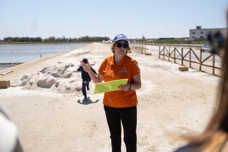 Salina Maria Stella di Trapani: Birdwatching in search of flamingos - Final Thoughts: Why You Should Consider This Tour