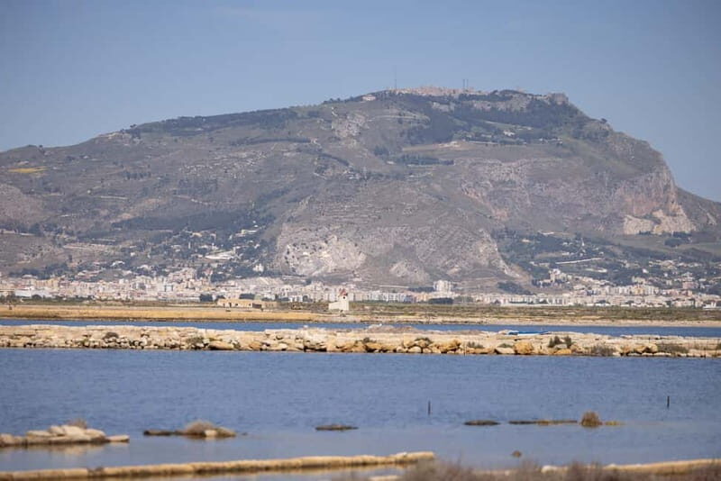 Salina Maria Stella di Trapani: Birdwatching in search of flamingos - FAQ